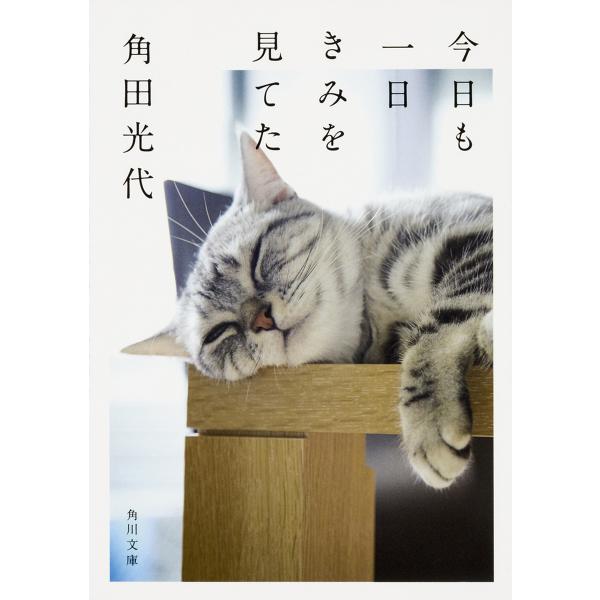 ※商品画像はイメージや仮デザインが含まれている場合があります。帯の有無など実際と異なる場合があります。著:角田光代出版社:KADOKAWA発売日:2017年06月シリーズ名等:角川文庫 か３９−１１キーワード:今日も一日きみを見てた角田光代...