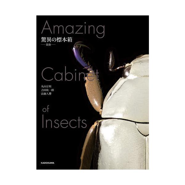 著:丸山宗利　著:吉田攻一郎　著:法師人響出版社:KADOKAWA発売日:2020年10月キーワード:驚異の標本箱−昆虫−丸山宗利吉田攻一郎法師人響 きよういのひようほんばここんちゆう キヨウイノヒヨウホンバココンチユウ まるやま むねとし...