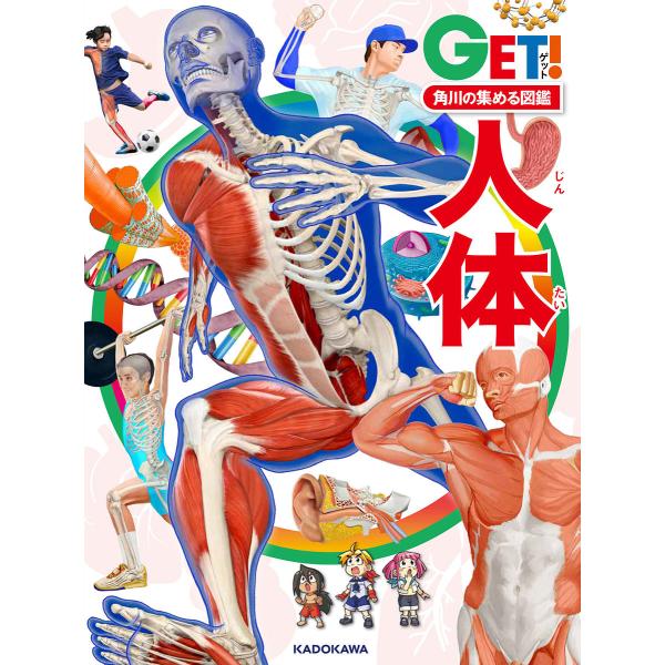 ※商品画像はイメージや仮デザインが含まれている場合があります。帯の有無など実際と異なる場合があります。監修:坂井建雄出版社:KADOKAWA発売日:2022年03月シリーズ名等:GET！角川の集める図鑑キーワード:人体坂井建雄 人体 コロナ...