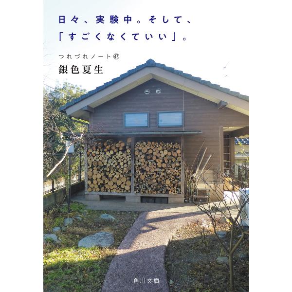 ※商品画像はイメージや仮デザインが含まれている場合があります。帯の有無など実際と異なる場合があります。著:銀色夏生出版社:KADOKAWA発売日:2025年04月シリーズ名等:角川文庫 き９−４８ つれづれノート ４７キーワード:日々、実験...