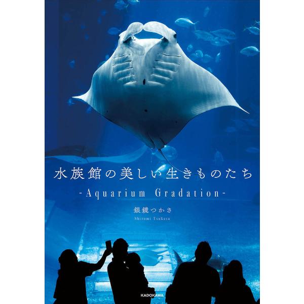 ※商品画像はイメージや仮デザインが含まれている場合があります。帯の有無など実際と異なる場合があります。著:銀鏡つかさ出版社:KADOKAWA発売日:2025年05月キーワード:水族館の美しい生きものたちAquariumGradation銀鏡...