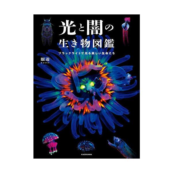 ※商品画像はイメージや仮デザインが含まれている場合があります。帯の有無など実際と異なる場合があります。著:眼遊出版社:KADOKAWA発売日:2026年02月キーワード:光と闇の生き物図鑑ブラックライトで光る美しい生命たち眼遊 ひかりとやみ...