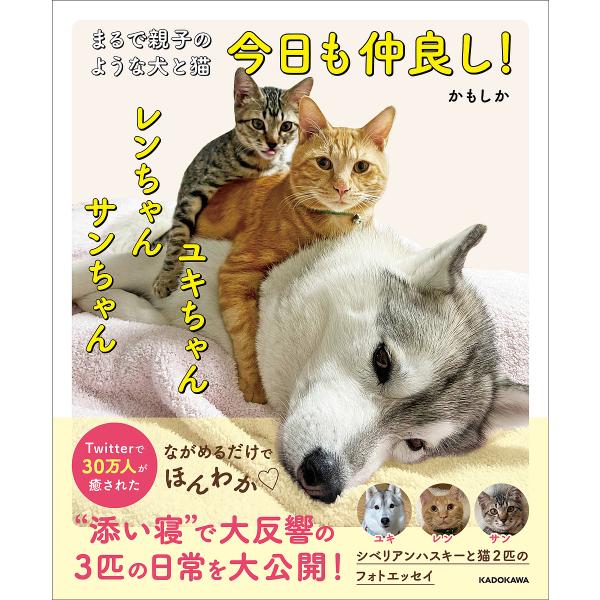 ※商品画像はイメージや仮デザインが含まれている場合があります。帯の有無など実際と異なる場合があります。著:かもしか出版社:KADOKAWA発売日:2023年01月キーワード:今日も仲良し！ユキちゃんレンちゃんサンちゃんまるで親子のような犬と...