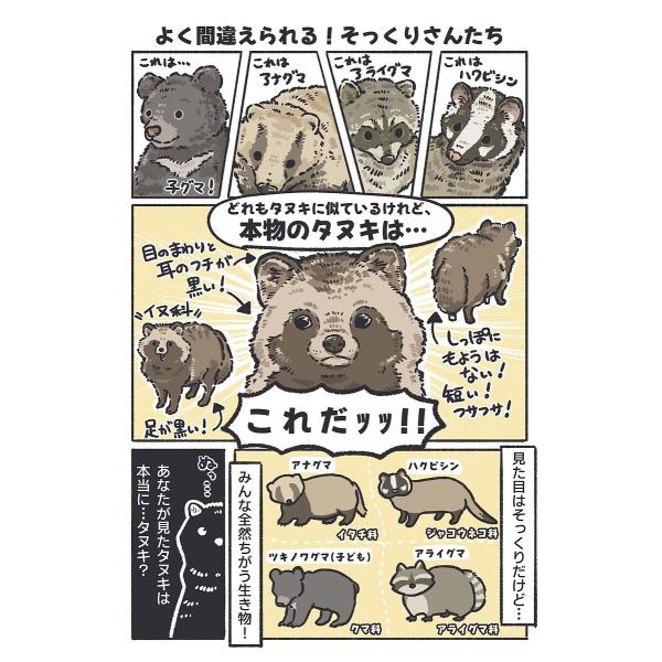 【発売日：2026年10月26日】※商品画像はイメージや仮デザインが含まれている場合があります。帯の有無など実際と異なる場合があります。すう飯田市立動物園出版社:KADOKAWA発売日:2026年10月26日キーワード:飼育員が教える！動物...
