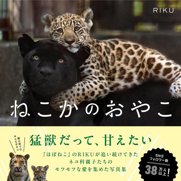【発売日：2026年11月18日】※商品画像はイメージや仮デザインが含まれている場合があります。帯の有無など実際と異なる場合があります。RIKU出版社:KADOKAWA発売日:2026年11月18日キーワード:ねこかのおやこRIKU ねこか...