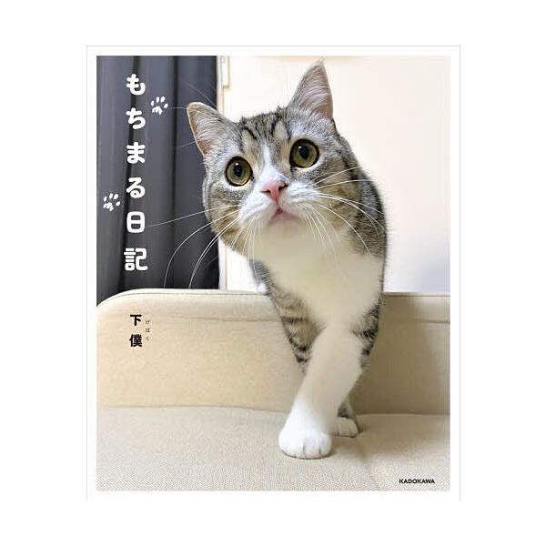 ※商品画像はイメージや仮デザインが含まれている場合があります。帯の有無など実際と異なる場合があります。著:下僕出版社:KADOKAWA発売日:2021年07月キーワード:もちまる日記下僕 もちまるにつき モチマルニツキ げぼく ゲボク
