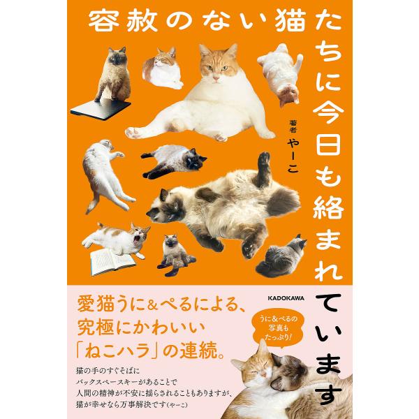 【発売日：2026年04月28日】※商品画像はイメージや仮デザインが含まれている場合があります。帯の有無など実際と異なる場合があります。やーこ出版社:KADOKAWA発売日:2026年04月28日キーワード:容赦のない猫たちに今日も絡まれて...