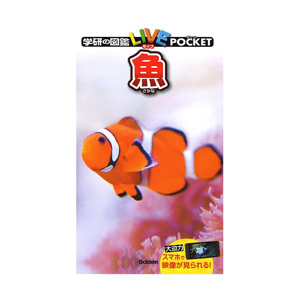 ※商品画像はイメージや仮デザインが含まれている場合があります。帯の有無など実際と異なる場合があります。出版社:学研プラス発売日:2018年04月シリーズ名等:学研の図鑑LIVE POCKET ８キーワード:魚 プレゼント ギフト 誕生日 子...