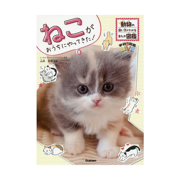 ※商品画像はイメージや仮デザインが含まれている場合があります。帯の有無など実際と異なる場合があります。監修:山本宗伸出版社:Gakken発売日:2017年09月シリーズ名等:学研の図鑑LIVE 動物の飼い方がわかるまんが図鑑キーワード:ねこ...