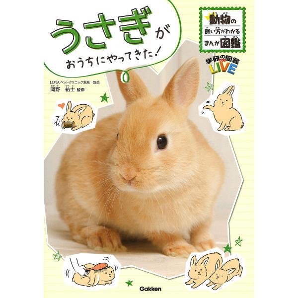 ※商品画像はイメージや仮デザインが含まれている場合があります。帯の有無など実際と異なる場合があります。監修:岡野祐士出版社:Gakken発売日:2018年09月シリーズ名等:学研の図鑑LIVE 動物の飼い方がわかるまんが図鑑キーワード:うさ...