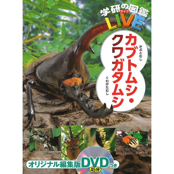 総監修:岡島秀治出版社:Gakken発売日:2019年06月シリーズ名等:学研の図鑑LIVE １８キーワード:カブトムシ・クワガタムシ岡島秀治 おすすめ図鑑！ プレゼント ギフト 誕生日 子供 クリスマス 子ども こども かぶとむしくわがた...