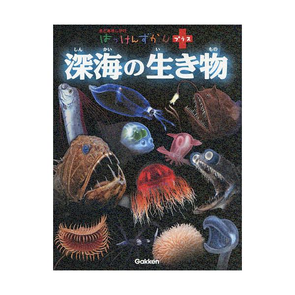 ※商品画像はイメージや仮デザインが含まれている場合があります。帯の有無など実際と異なる場合があります。出版社:学研プラス発売日:2018年12月シリーズ名等:はっけんずかんプラス まどあきしかけキーワード:深海の生き物 しんかいのいきものは...