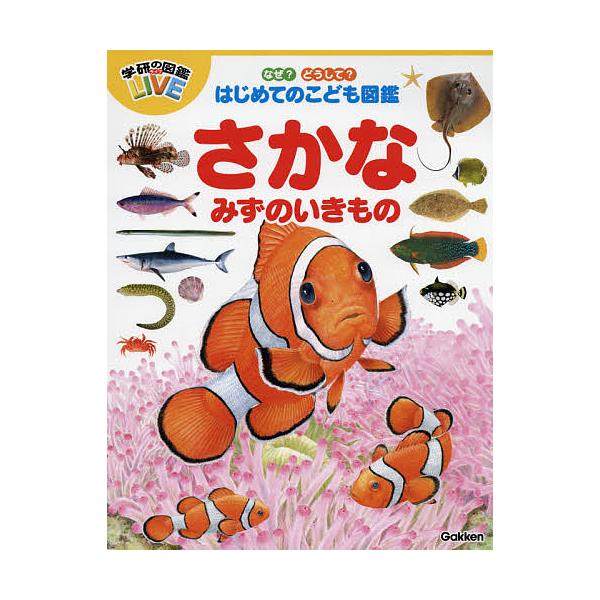 ※商品画像はイメージや仮デザインが含まれている場合があります。帯の有無など実際と異なる場合があります。出版社:Gakken発売日:2021年07月シリーズ名等:学研の図鑑LIVE なぜ？どうして？はじめてのこども図鑑キーワード:さかな・みず...