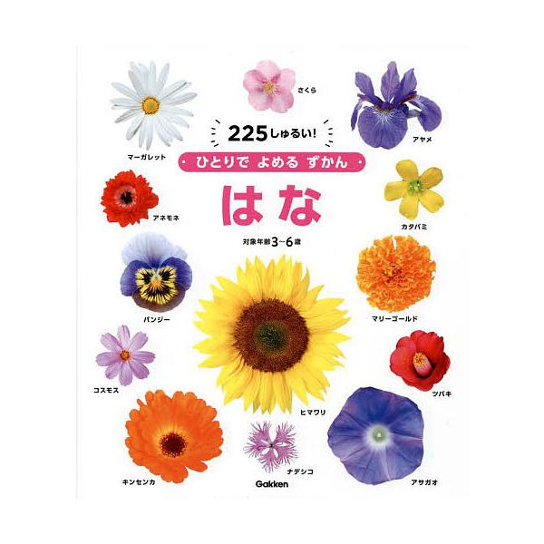 出版社:学研プラス発売日:2022年04月シリーズ名等:ひとりでよめるずかんキーワード:はな２２５しゅるい！対象年齢３〜６歳 はなにひやくにじゆうごしゆるい２２５／しゆるいたい ハナニヒヤクニジユウゴシユルイ２２５／シユルイタイ
