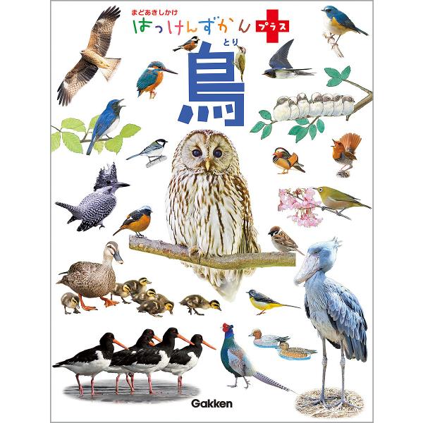 ※商品画像はイメージや仮デザインが含まれている場合があります。帯の有無など実際と異なる場合があります。出版社:Gakken発売日:2024年03月シリーズ名等:はっけんずかんプラス まどあきしかけキーワード:鳥 とりはつけんずかんぷらすまど...