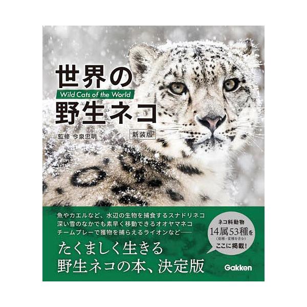 ※商品画像はイメージや仮デザインが含まれている場合があります。帯の有無など実際と異なる場合があります。監修:今泉忠明出版社:Gakken発売日:2024年02月キーワード:世界の野生ネコ新装版今泉忠明 せかいのやせいねこ セカイノヤセイネコ...