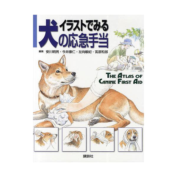 編:安川明男出版社:講談社発売日:2009年11月キーワード:イラストでみる犬の応急手当安川明男 ペット いらすとでみるいぬのおうきゆうてあて イラストデミルイヌノオウキユウテアテ やすかわ あきお いまい やす ヤスカワ アキオ イマイ ヤス