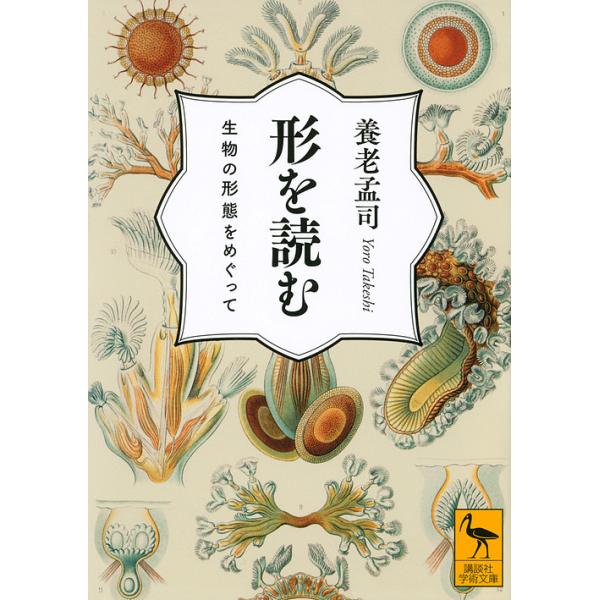 ※商品画像はイメージや仮デザインが含まれている場合があります。帯の有無など実際と異なる場合があります。著:養老孟司出版社:講談社発売日:2020年01月シリーズ名等:講談社学術文庫 ２６００キーワード:形を読む生物の形態をめぐって養老孟司 ...