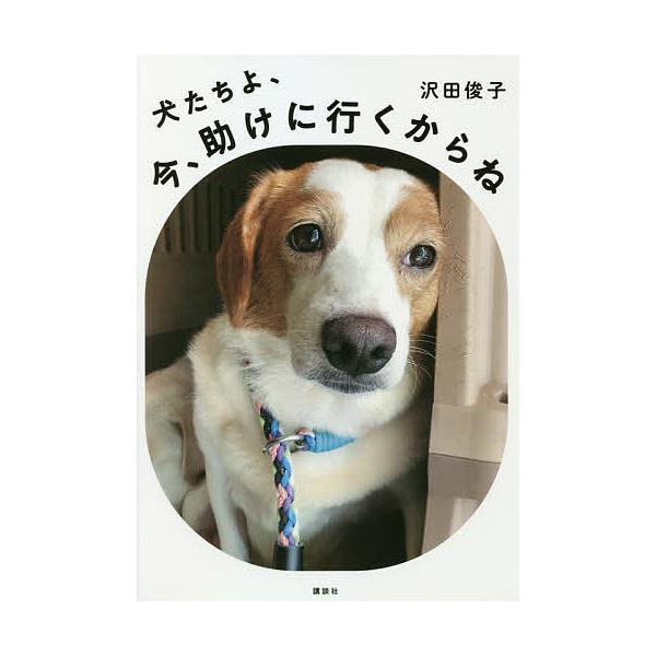 文:沢田俊子出版社:講談社発売日:2021年02月キーワード:犬たちよ、今、助けに行くからね沢田俊子 プレゼント ギフト 誕生日 子供 クリスマス 子ども こども いぬたちよいまたすけにいくからね イヌタチヨイマタスケニイクカラネ さわだ ...