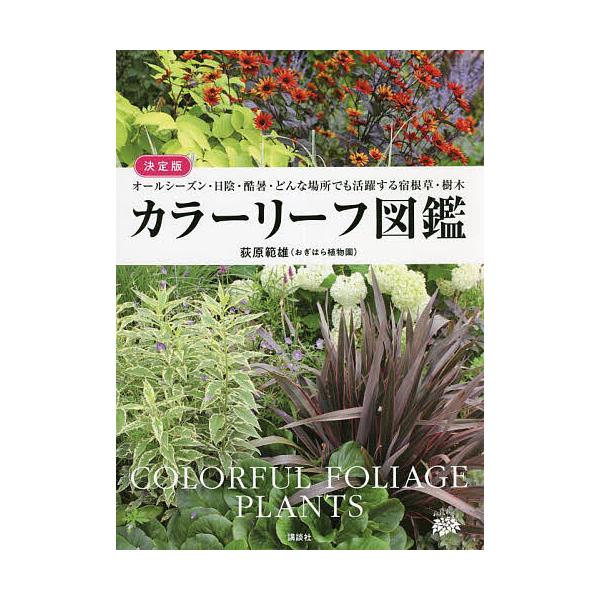 ※商品画像はイメージや仮デザインが含まれている場合があります。帯の有無など実際と異なる場合があります。著:荻原範雄出版社:講談社発売日:2022年06月キーワード:カラーリーフ図鑑決定版オールシーズン・日陰・酷暑・どんな場所でも活躍する宿根...