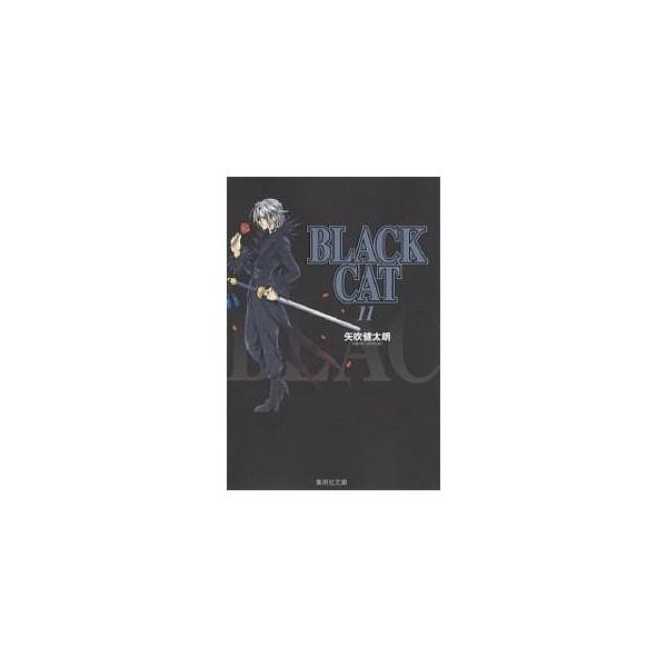 著:矢吹健太朗出版社:集英社発売日:2006年02月シリーズ名等:集英社文庫 や３４−１１ コミック版巻数:11巻キーワード:Blackcat１１矢吹健太朗 漫画 マンガ まんが ぶらつくきやつと１１ＢＬＡＣＫＣＡＴ１１しゆうえい ブラツク...