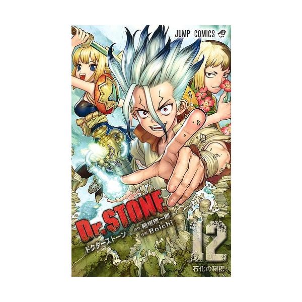 ※商品画像はイメージや仮デザインが含まれている場合があります。帯の有無など実際と異なる場合があります。原作:稲垣理一郎　作画:Boichi出版社:集英社発売日:2019年09月シリーズ名等:ジャンプコミックス巻数:12巻キーワード:Dr．S...