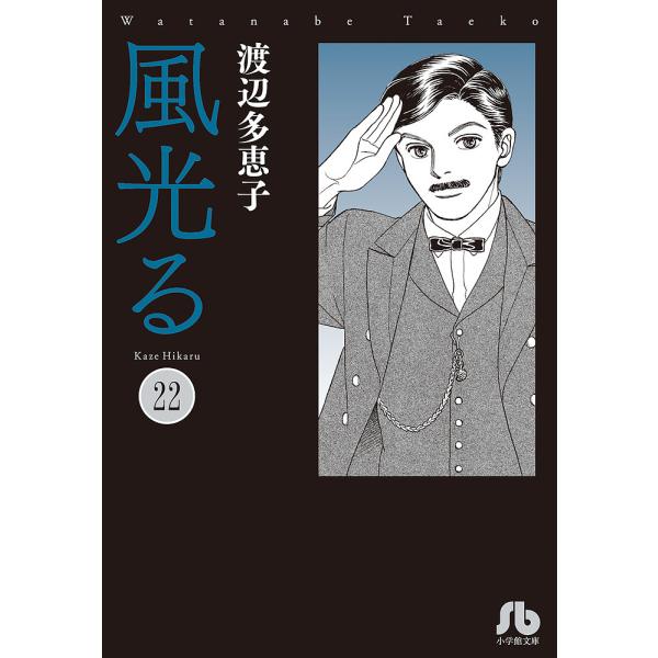 ※商品画像はイメージや仮デザインが含まれている場合があります。帯の有無など実際と異なる場合があります。著:渡辺多恵子出版社:小学館発売日:2022年08月シリーズ名等:小学館文庫 わA−５２巻数:22巻キーワード:風光る２２渡辺多恵子 漫画...