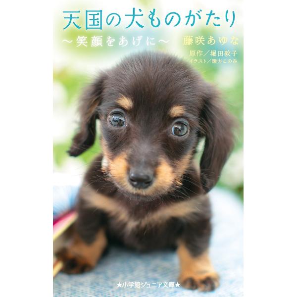 ※商品画像はイメージや仮デザインが含まれている場合があります。帯の有無など実際と異なる場合があります。原作:堀田敦子　著:藤咲あゆな　イラスト:環方このみ出版社:小学館発売日:2018年06月シリーズ名等:小学館ジュニア文庫 ジほ−１−８キ...
