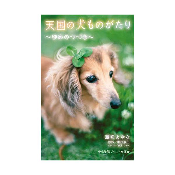※商品画像はイメージや仮デザインが含まれている場合があります。帯の有無など実際と異なる場合があります。著:藤咲あゆな　原作:堀田敦子　イラスト:環方このみ出版社:小学館発売日:2024年10月シリーズ名等:小学館ジュニア文庫 ジほ−１−１７...