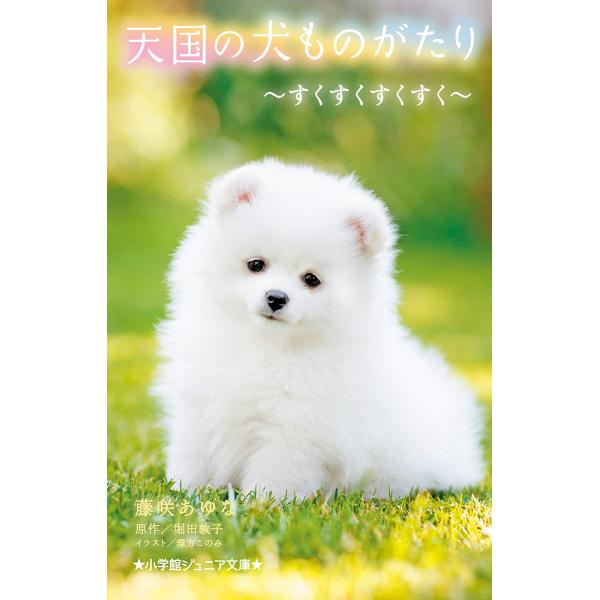 ※商品画像はイメージや仮デザインが含まれている場合があります。帯の有無など実際と異なる場合があります。著:藤咲あゆな　原作:堀田敦子　イラスト:環方このみ出版社:小学館発売日:2025年06月シリーズ名等:小学館ジュニア文庫 ジほ−１−１８...