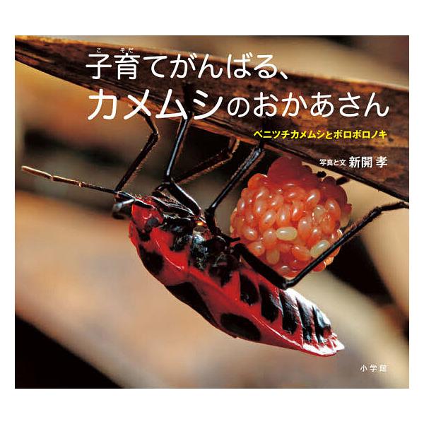※商品画像はイメージや仮デザインが含まれている場合があります。帯の有無など実際と異なる場合があります。写真:新開孝出版社:小学館発売日:2021年07月シリーズ名等:小学館の図鑑NEOの科学絵本キーワード:子育てがんばる、カメムシのおかあさ...