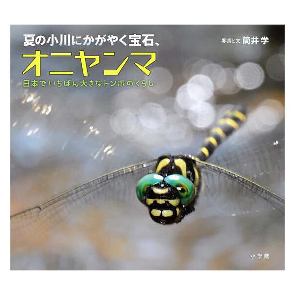 ※商品画像はイメージや仮デザインが含まれている場合があります。帯の有無など実際と異なる場合があります。写真:筒井学出版社:小学館発売日:2023年07月シリーズ名等:小学館の図鑑NEOの科学絵本キーワード:夏の小川にかがやく宝石、オニヤンマ...