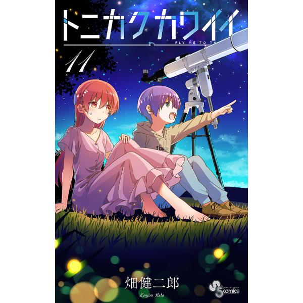 ※商品画像はイメージや仮デザインが含まれている場合があります。帯の有無など実際と異なる場合があります。著:畑健二郎出版社:小学館発売日:2020年05月シリーズ名等:少年サンデーコミックス巻数:11巻キーワード:トニカクカワイイFLYMET...