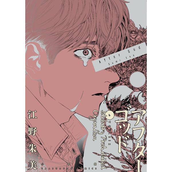 著:江野朱美出版社:小学館発売日:2024年01月シリーズ名等:裏少年サンデーコミックス巻数:6巻キーワード:アフターゴッド６江野朱美 漫画 マンガ まんが あふたーごつど６ アフターゴツド６ えの すみ エノ スミ BF50045E