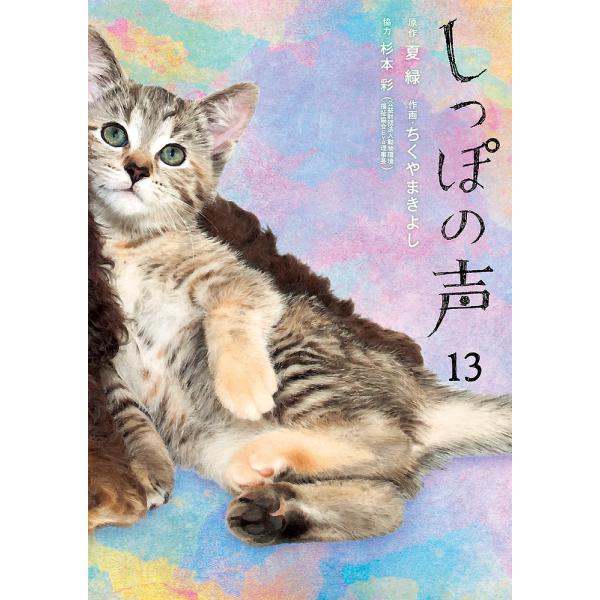 ※商品画像はイメージや仮デザインが含まれている場合があります。帯の有無など実際と異なる場合があります。原作:夏緑　作画:ちくやまきよし出版社:小学館発売日:2022年04月シリーズ名等:BIG COMICS巻数:13巻キーワード:しっぽの声...