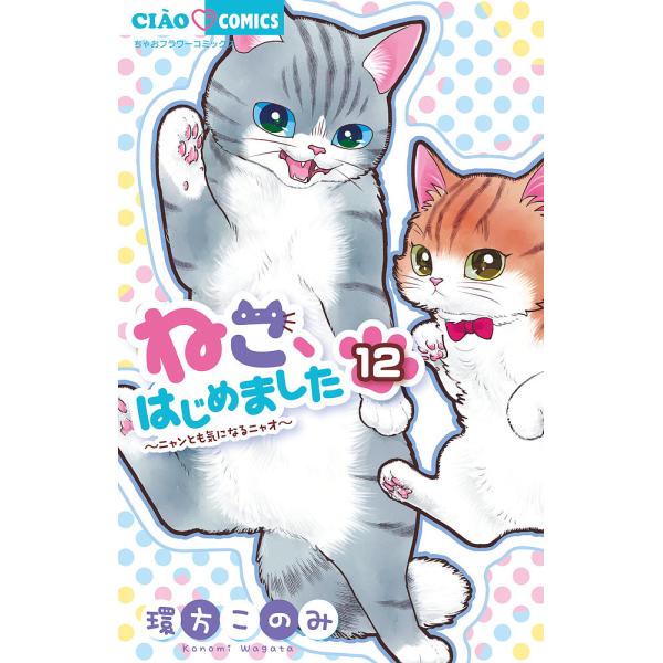 著:環方このみ出版社:小学館発売日:2023年11月シリーズ名等:ちゃおコミックス巻数:12巻キーワード:ねこ、はじめました１２環方このみ 漫画 マンガ まんが ねこはじめました１２ ネコハジメマシタ１２ わがた このみ ワガタ コノミ B...