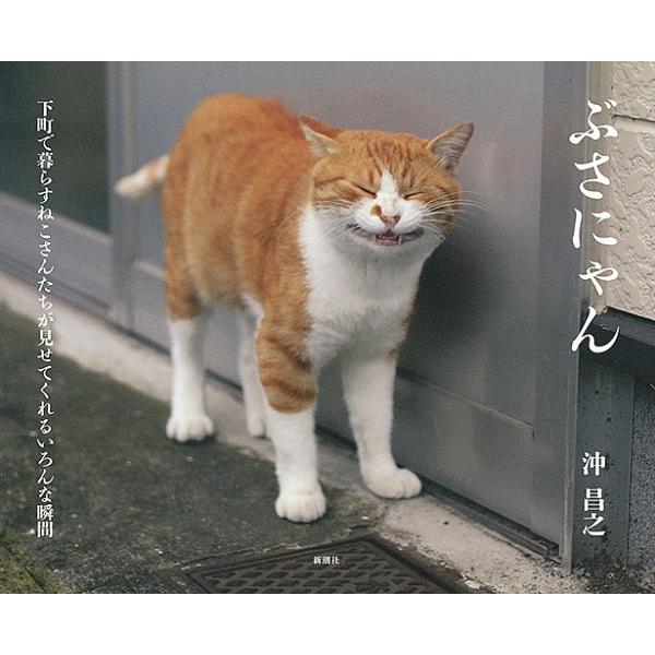 ※商品画像はイメージや仮デザインが含まれている場合があります。帯の有無など実際と異なる場合があります。著:沖昌之出版社:新潮社発売日:2015年12月キーワード:ぶさにゃん沖昌之 ぶさにやん ブサニヤン おき まさゆき オキ マサユキ