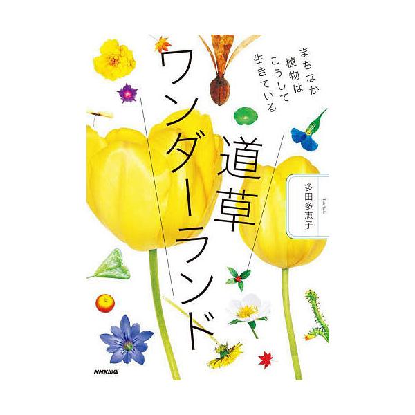 ※商品画像はイメージや仮デザインが含まれている場合があります。帯の有無など実際と異なる場合があります。著:多田多恵子出版社:NHK出版発売日:2023年02月キーワード:道草ワンダーランドまちなか植物はこうして生きている多田多恵子 みちくさ...