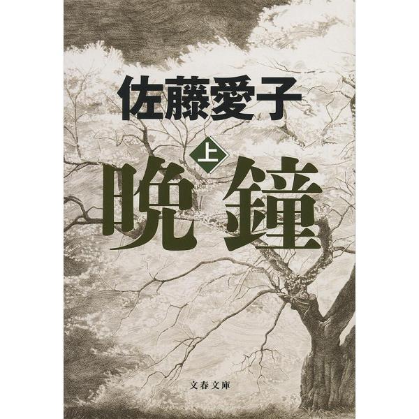 ※商品画像はイメージや仮デザインが含まれている場合があります。帯の有無など実際と異なる場合があります。著:佐藤愛子出版社:文藝春秋発売日:2017年09月シリーズ名等:文春文庫 さ１８−２７キーワード:晩鐘上佐藤愛子 ばんしよう１ バンシヨ...