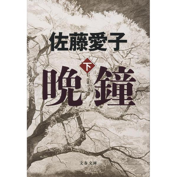 ※商品画像はイメージや仮デザインが含まれている場合があります。帯の有無など実際と異なる場合があります。著:佐藤愛子出版社:文藝春秋発売日:2017年09月シリーズ名等:文春文庫 さ１８−２８キーワード:晩鐘下佐藤愛子 ばんしよう２ バンシヨ...