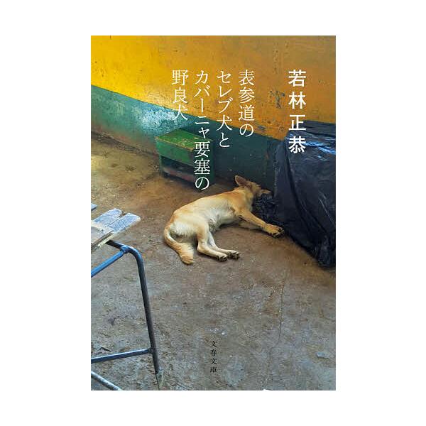 ※商品画像はイメージや仮デザインが含まれている場合があります。帯の有無など実際と異なる場合があります。著:若林正恭出版社:文藝春秋発売日:2020年10月シリーズ名等:文春文庫 わ２５−１キーワード:表参道のセレブ犬とカバーニャ要塞の野良犬...