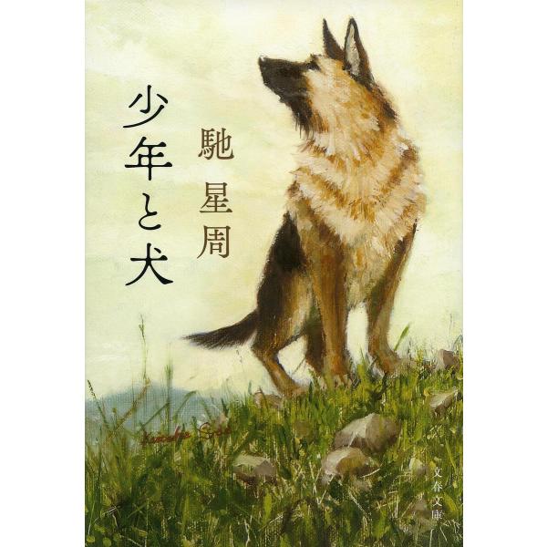 ※商品画像はイメージや仮デザインが含まれている場合があります。帯の有無など実際と異なる場合があります。著:馳星周出版社:文藝春秋発売日:2023年04月シリーズ名等:文春文庫 は２５−１０キーワード:少年と犬馳星周 しようねんといぬぶんしゆ...