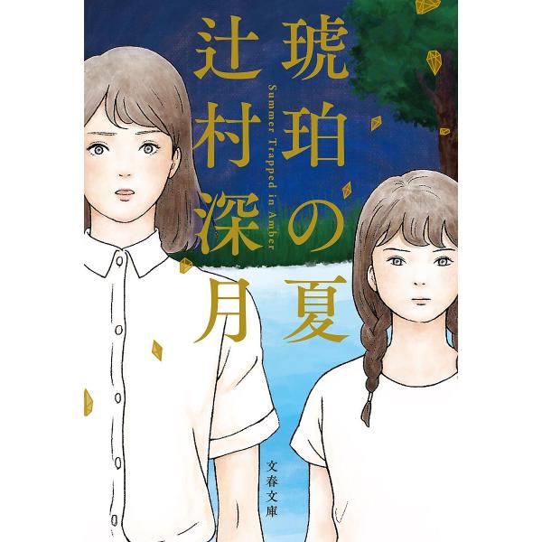 著:辻村深月出版社:文藝春秋発売日:2023年09月シリーズ名等:文春文庫 つ１８−７キーワード:琥珀の夏辻村深月 こはくのなつぶんしゆんぶんこつー１８ー７ コハクノナツブンシユンブンコツー１８ー７ つじむら みずき ツジムラ ミズキ