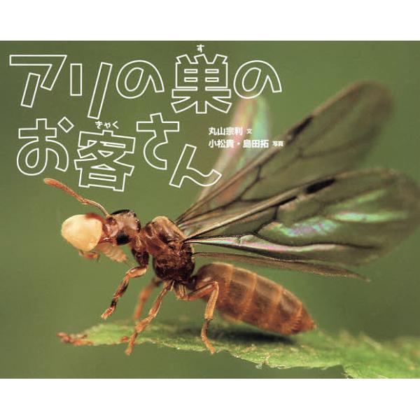 ※商品画像はイメージや仮デザインが含まれている場合があります。帯の有無など実際と異なる場合があります。文:丸山宗利　写真:小松貴　写真:島田拓出版社:あかね書房発売日:2015年07月キーワード:アリの巣のお客さん丸山宗利小松貴島田拓 えほ...