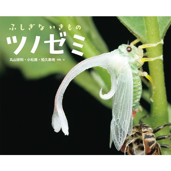 写真:丸山宗利　写真:文小松貴　写真:文知久寿焼出版社:あかね書房発売日:2019年07月キーワード:ふしぎないきものツノゼミ丸山宗利文小松貴文知久寿焼 えほん 絵本 プレゼント ギフト 誕生日 子供 クリスマス 子ども こども ふしぎない...