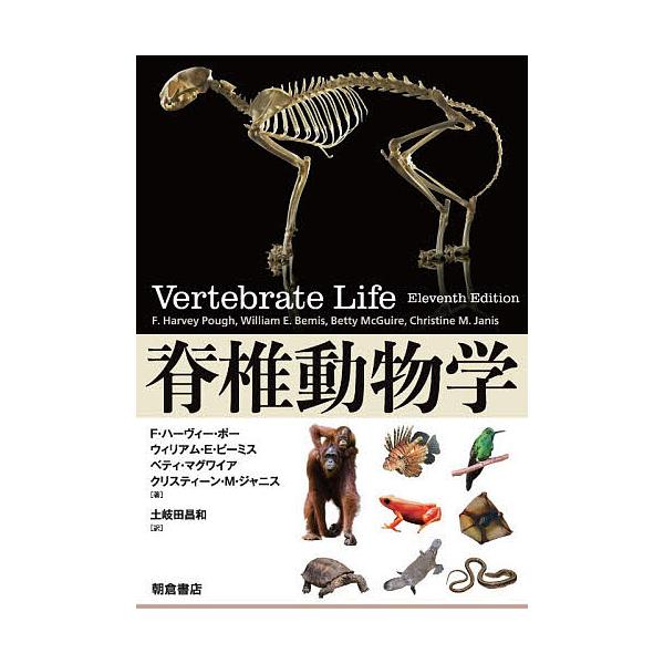 ※商品画像はイメージや仮デザインが含まれている場合があります。帯の有無など実際と異なる場合があります。ほか著:F．ハーヴィー・ポー　訳:土岐田昌和出版社:朝倉書店発売日:2026年08月キーワード:脊椎動物学F．ハーヴィー・ポー土岐田昌和 ...