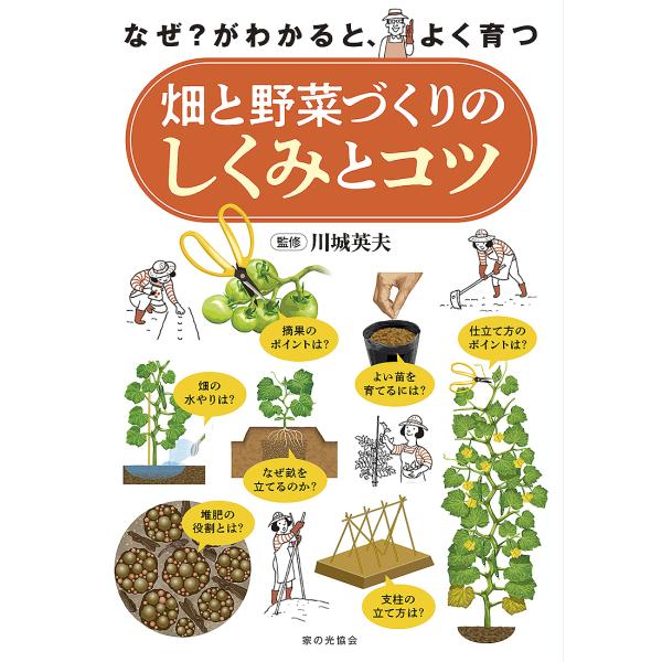 ※商品画像はイメージや仮デザインが含まれている場合があります。帯の有無など実際と異なる場合があります。監修:川城英夫出版社:家の光協会発売日:2023年02月キーワード:畑と野菜づくりのしくみとコツなぜ？がわかると、よく育つ川城英夫 はたけ...