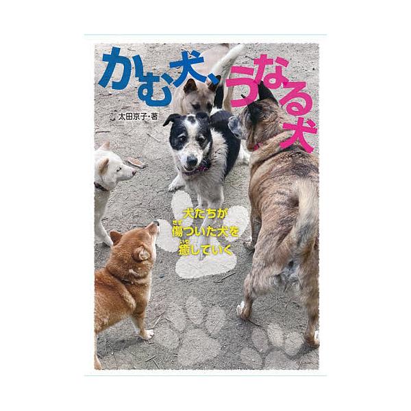 ※商品画像はイメージや仮デザインが含まれている場合があります。帯の有無など実際と異なる場合があります。著:太田京子出版社:岩崎書店発売日:2026年03月キーワード:かむ犬、うなる犬犬たちが傷ついた犬を癒していく太田京子 プレゼント ギフト...