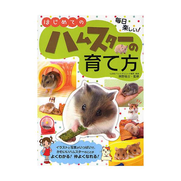 ※商品画像はイメージや仮デザインが含まれている場合があります。帯の有無など実際と異なる場合があります。出版社:大泉書店発売日:2010年03月キーワード:はじめてのハムスターの育て方毎日楽しい！ ペット はじめてのはむすたーのそだてかたまい...