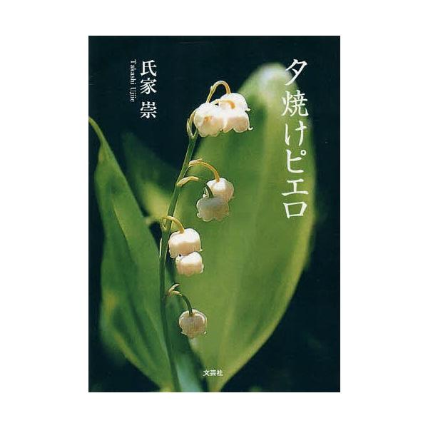 著:氏家崇出版社:文芸社発売日:2014年07月キーワード:夕焼けピエロ氏家崇 ゆうやけぴえろ ユウヤケピエロ うじいえ たかし ウジイエ タカシ